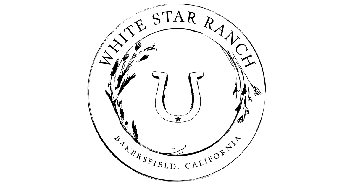 Equestrian Photography by Horse Photographer Simplee Focused. – White ...